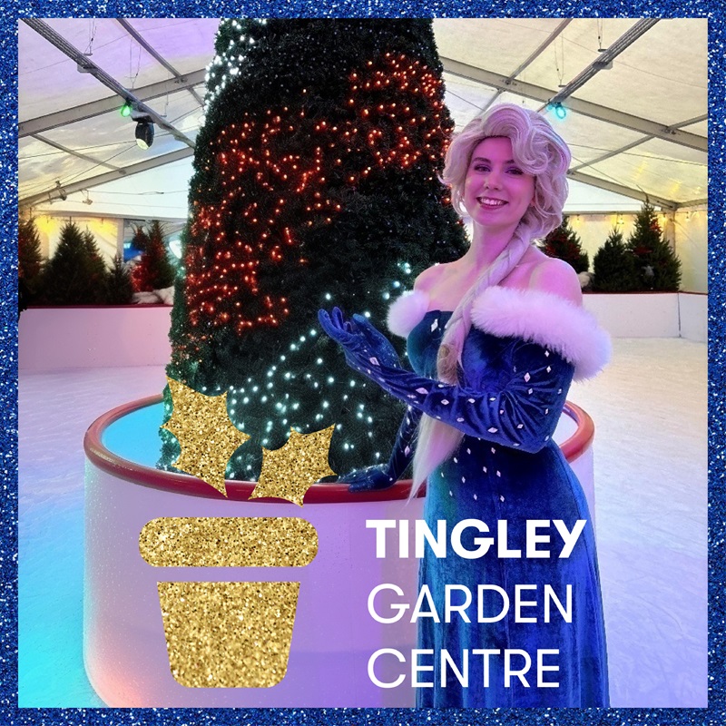 Skate with the Ice Princess at Tingley Garden Centre’s Ice Rink - Grass ...
